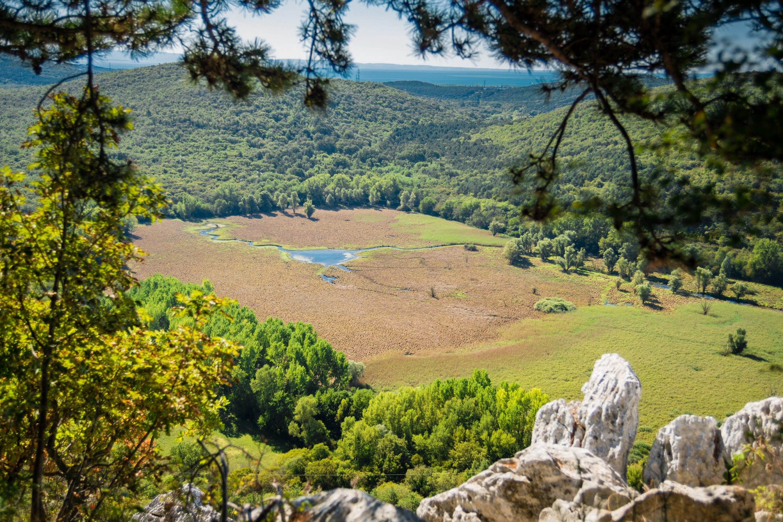 Carso: small is beautiful. 5 cose da sapere - Trieste Green