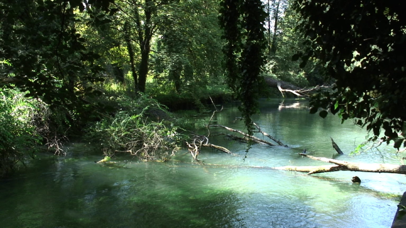 Carso e Istria, una porta tra mondi: 5 cose da sapere - Trieste Green