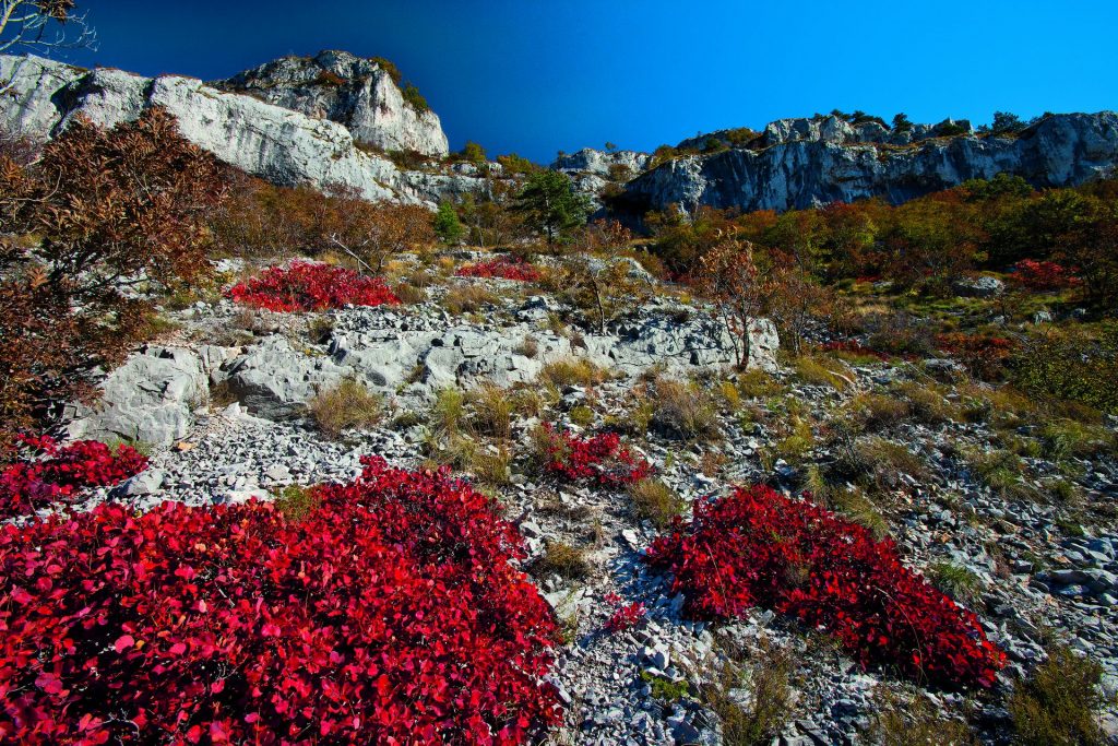 Le cinque vette del Carso che meritano - Trieste Green